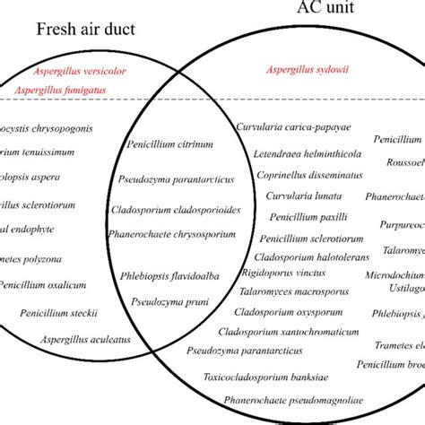 Identified Fungal Species Emanated From The Acmv System Download Scientific Diagram