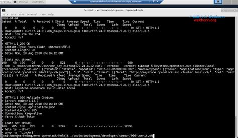CentOS 7 5 透過 Helm 安裝 OpenStack Queens 不自量力 の Weithenn