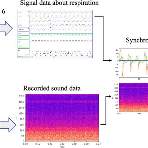 Outline Of Measurements Snor Blue Line Signal From The Piezo Download Scientific Diagram