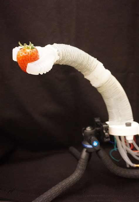 Soft Arms Soft Robotics Research