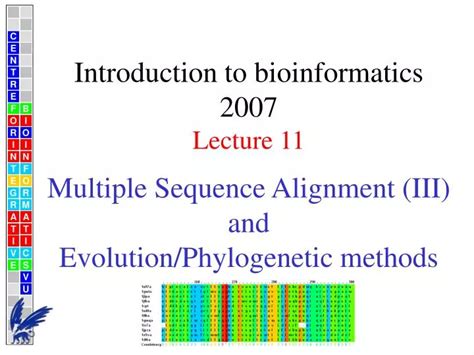 Ppt Multiple Sequence Alignment Iii And Evolutionphylogenetic Methods Powerpoint