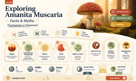 Exploring The Psychoactive Properties Of Amanita Muscaria Facts And