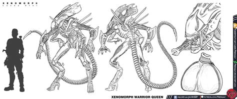 Xenomorph Warrior Drawing