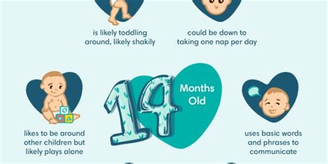 14 Month Developmental Milestones News Tribun