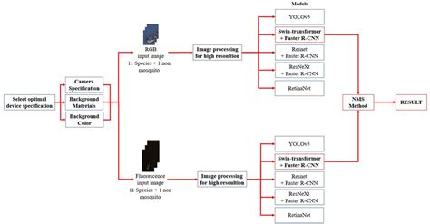 Classification And Abbreviation Of The Mosquitoes Used In Training Download Scientific Diagram