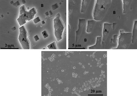 Sem Images With A Graphene Synthesis Duration Of 5 Min A A1 Is The Download Scientific