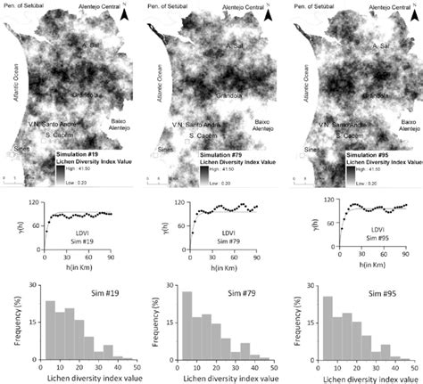 ldvi results for simulations 19 79 and 95 first row variogram