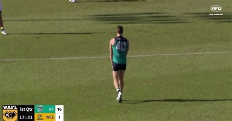Wafl Showreel Matt Taberner Highlights