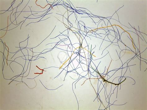 Everyday Steps How Sustainable Fabrics Can Fight Microplastic