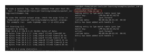 Flow Table Issued By P Control Plane Download Scientific Diagram