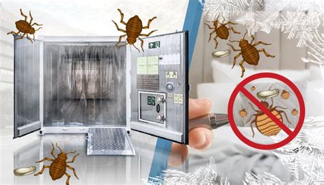 Titan Containers On Linkedin Exterminate Bed Bugs And Insect Infestations Without Chemicals