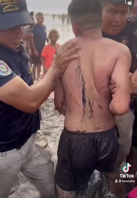 Hot Latin Thief Thisvid Com