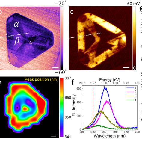 A Topography And B Phase Contrast Map Of A Ws2 Flake On Si Sample