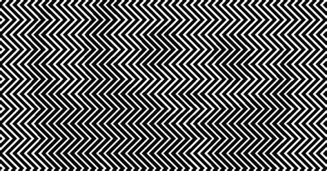 Can You Spot The Panda Optical Illusion In The Illustration