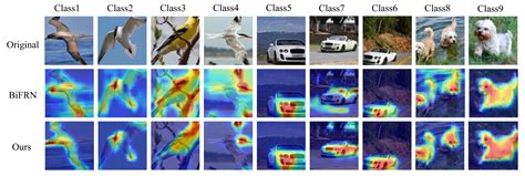 Few Shot Fine Grained Image Classification With Residual Reconstruction Network Based On Feature