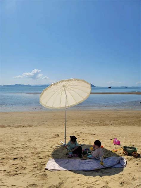 광주근교 아이랑 함께 가볼만한곳 보성 율포 솔밭 해수욕장 네이버 블로그