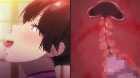 Hsummary Fps Ajisai No Chiru Koro Ni