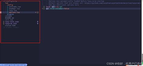 lazyvim快速安装与入门使用 csdn博客