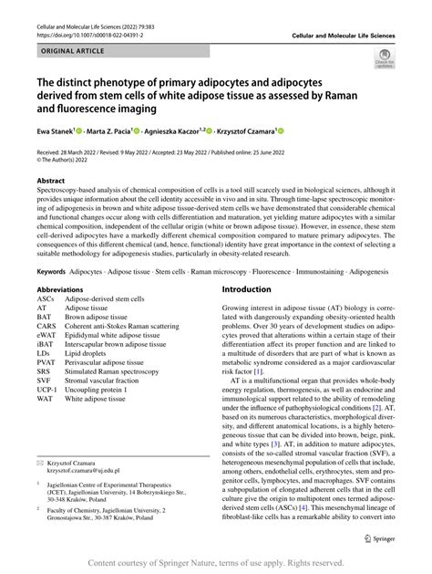 Pdf The Distinct Phenotype Of Primary Adipocytes And Adipocytes Derived From Stem Cells Of
