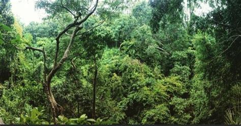 Namaskara Mudras écriture Tardive Inspiration… By Claudia Kaya Medium