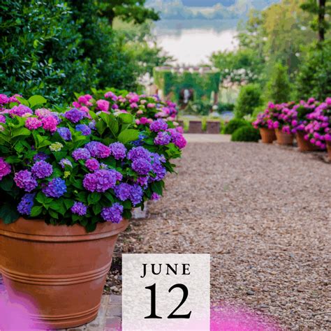 June 12 2026 P Allen Smith