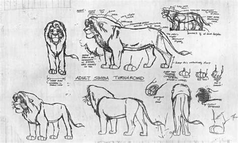 Adult Simba Model Sheet Lion King Lion King Drawings Lion King Art