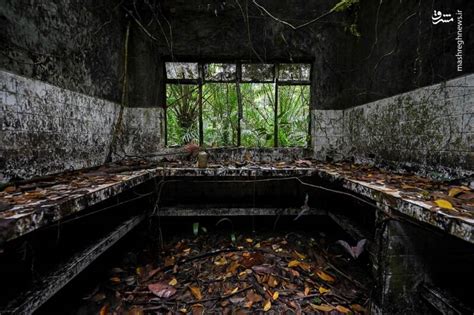 آخرین خبر زندان متروکه در دل جنگل