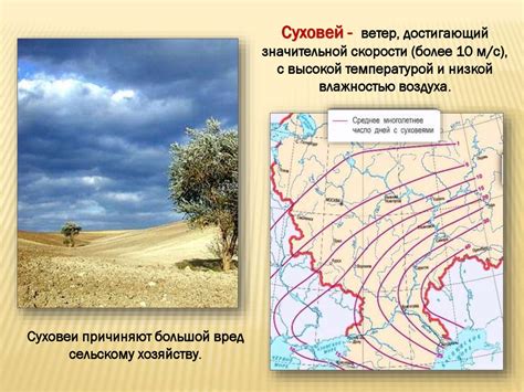 Влияние климатических условий на жизнь людей презентация онлайн