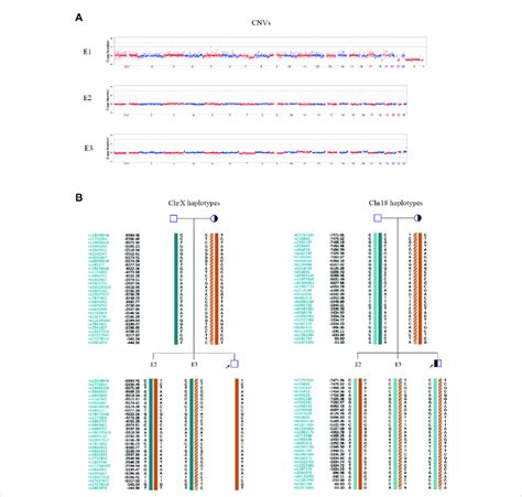 cnv tests and snp based linkage analysis for rect detection in embryos