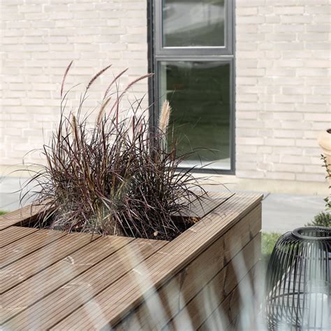 Indret Terrassen Med Dekorative Prydgræsser Plantorama