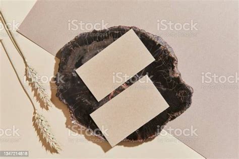 모의 방문 카드 바위 천연 소재 건조 식물 및 개인 액세서리와 창조적 인 미니멀 구성의 플랫 평지 중립 색상 상단 보기 템플릿 0명에 대한 스톡 사진 및 기타 이미지