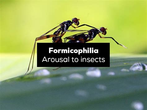 Weird Sex Fetishes Pics