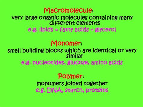 Biological Molecules Ppt Download
