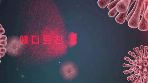 프리미어 프로 모션그래픽 플라이 파티클 인트로 공유525 Youtube