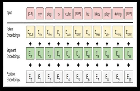 Using Typical Bert For Input Representation Download Scientific Diagram