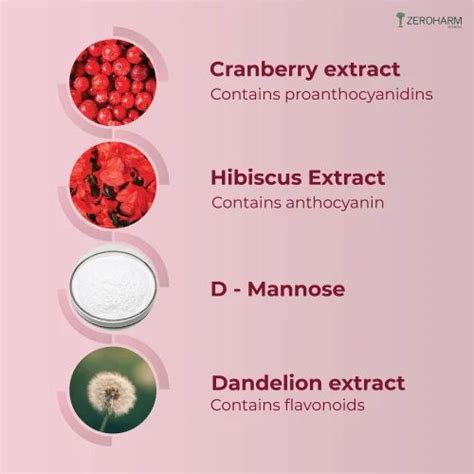 Urinary Tract Infection Tablets 60 Nos At ₹ 799 Stripe In Hyderabad Id 2851318827533