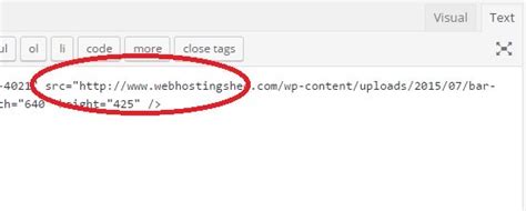 How To Insert Relative Image Urls In Wordpress Việt Lâm Coder