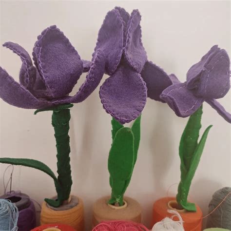 מרגיש לי שהשנה יום העצמאות מקבל עוצמה גדולה יותראומנם אנחנו עדיין בעיצומה של מלחמה עדיין