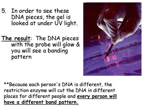 14 1 Human Heredity Vocabulary Karyotype Sex Chromosome Autosome Ppt Download