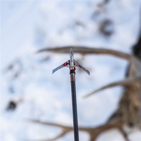 Hypodermic Trypan Nc Feradyne Outdoors