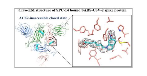 Guillermo Morales Phd Mba On Linkedin In Silico Discovery Of Small Molecule Modulators