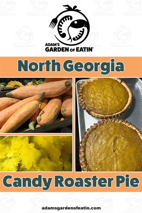 Candy Roaster Pie Fall Pies Recipes Roaster Pumpkin Pie