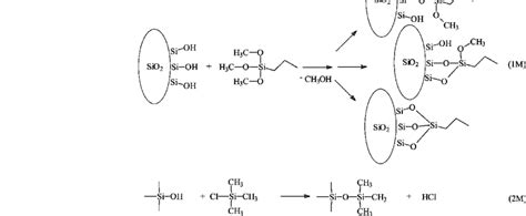 Reaction Mechanisms For SiO 2 Functionalization Download Scientific Diagram