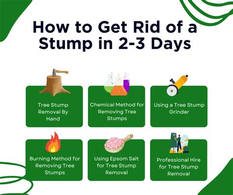 How To Get Rid Of A Stump In 2 3 Days Tree Stump Removal