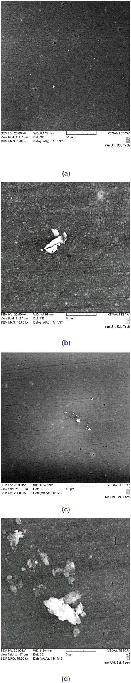 Sem Micrographs Showing The Evolution In The Distribution Of A And Download Scientific