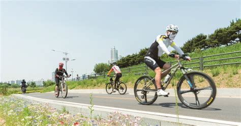 충북 자전거도로 80 보행자·차량 겸용 도로