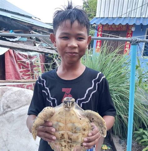 រដ្ឋបាលឃុំកោះស្ដេច សង្គ្រោះកូនអណ្ដេីកសមុទ្រប្រភេទក្រាសស្ថិតនៅភូមិកោះស្ដេច ឃុំកោះស្ដេច