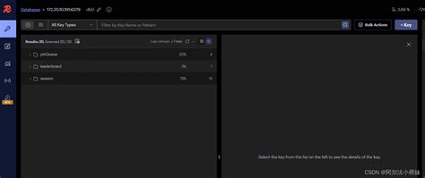 Redis可视化工具redisinsightredisinsight中文 Csdn博客