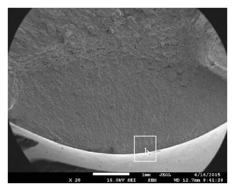 Fracture Surface Of The Cnp A Fracture Surface And B Crack Download Scientific Diagram