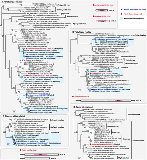 Metatranscriptomic Sequencing Reveals Host Species As An Important Factor Shaping The Mosquito